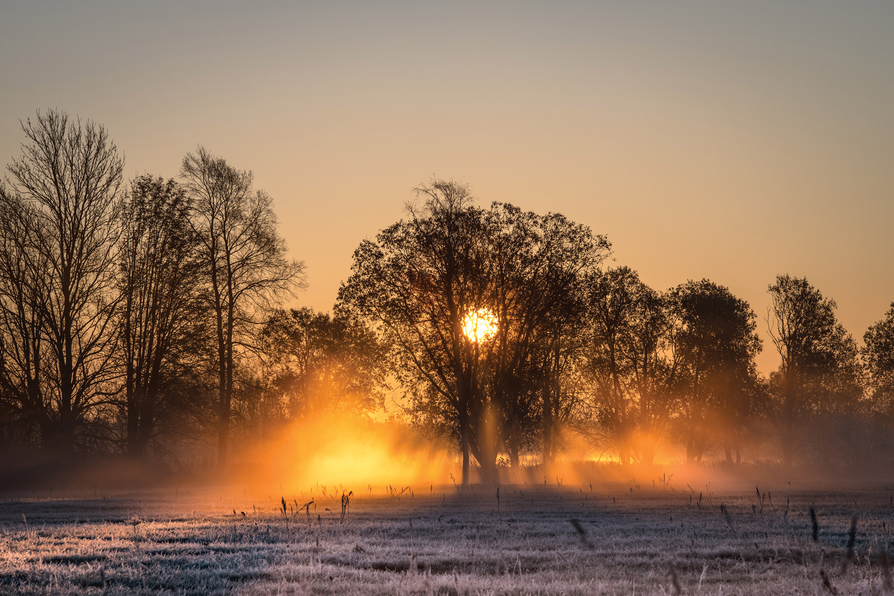 How to Profit from Off-Season Farmland - Grit